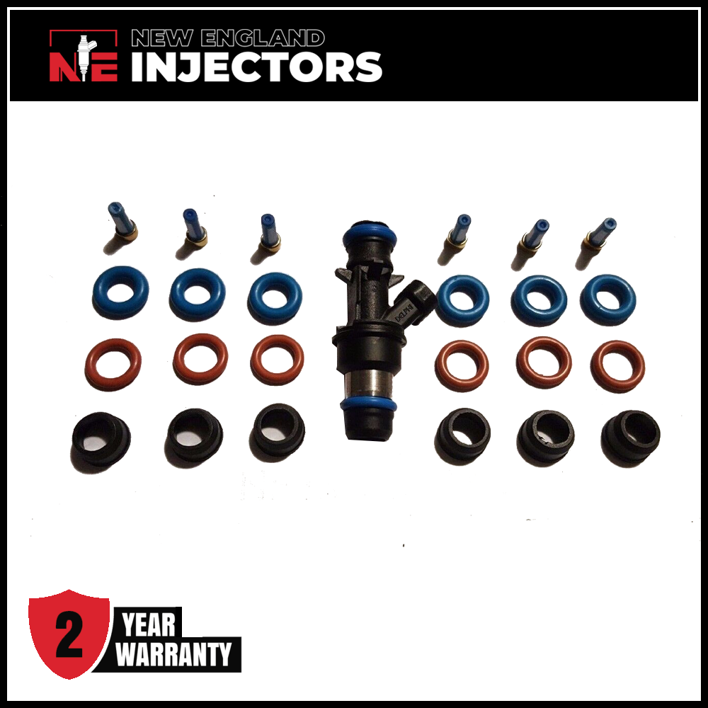Fuel Injector Rebuild Kit O-rings Filters Pintle V6 Chevy GMC Isuzu De ...
